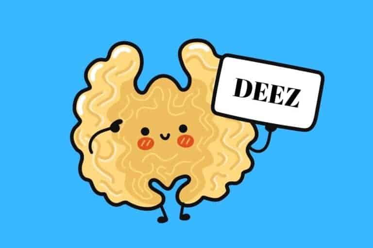 100 Best Deez Nuts Jokes - Here's a Joke
