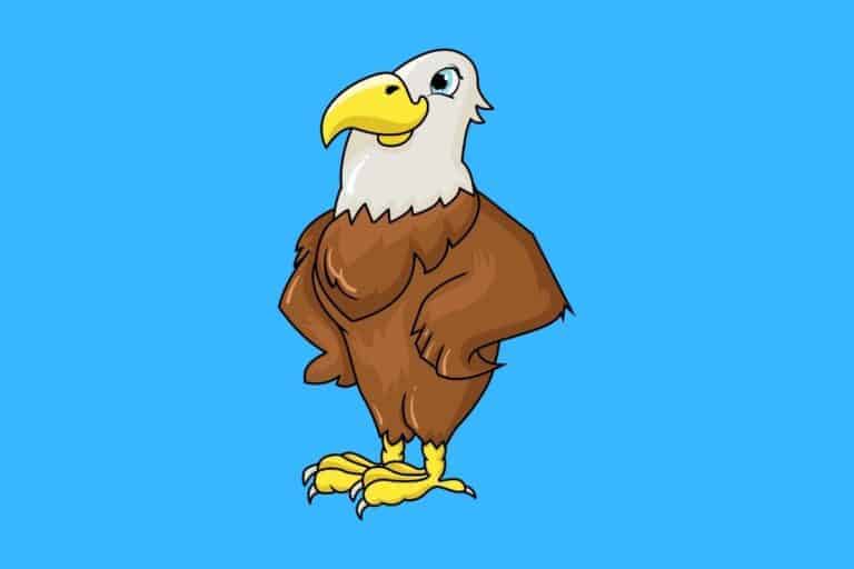 21 Funny Eagle Jokes - Here's a Joke