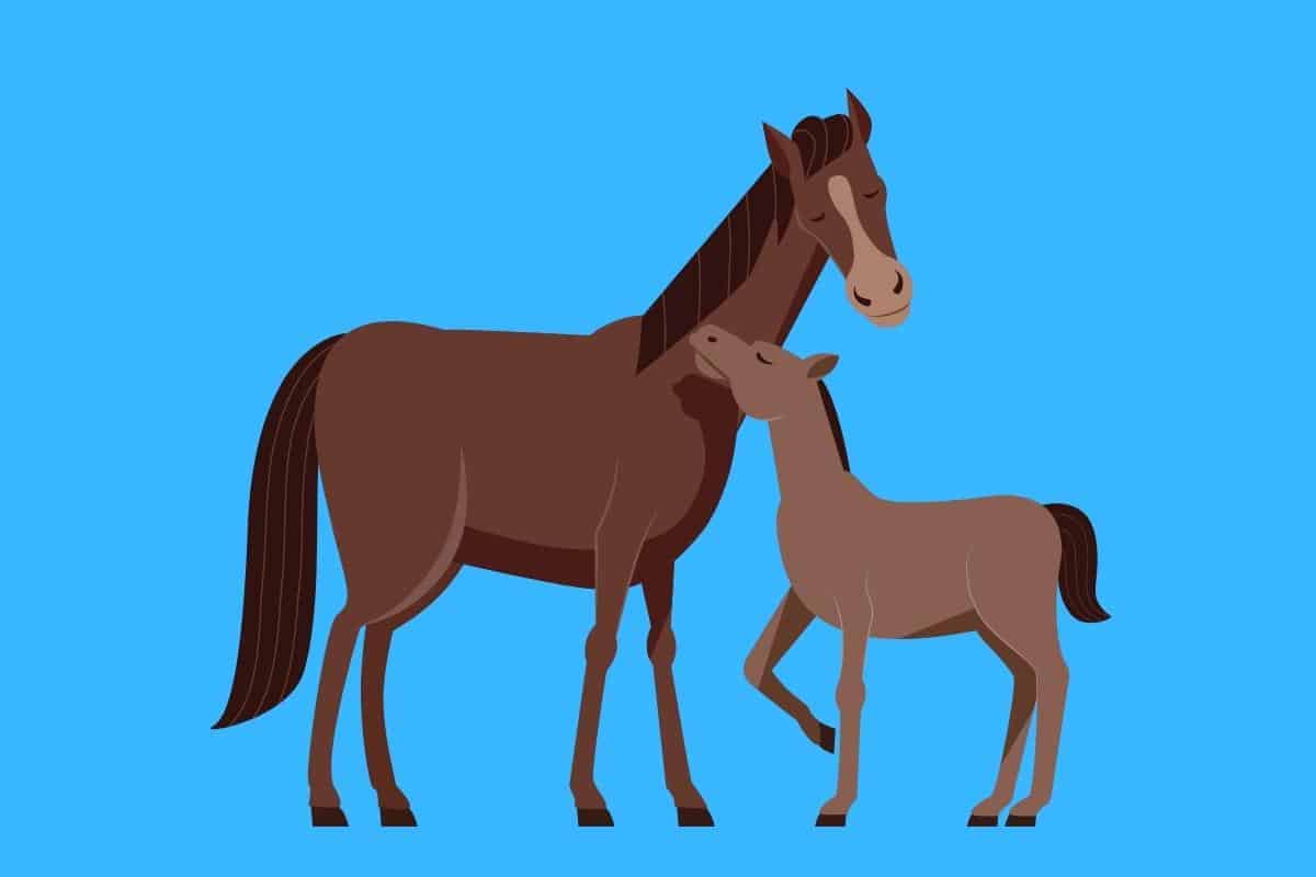 65 Funny Horse Puns - Here's a Joke