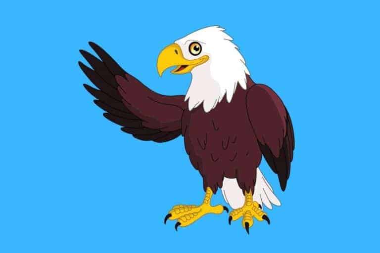 21 Funny Eagle Jokes - Here's a Joke