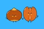 100 Best Deez Nuts Jokes - Here's a Joke