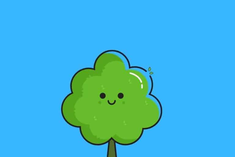 80 Jokes About Trees - Here's a Joke