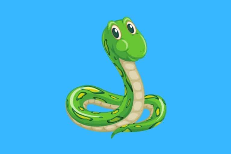 70 Jokes About Snakes - Here's a Joke