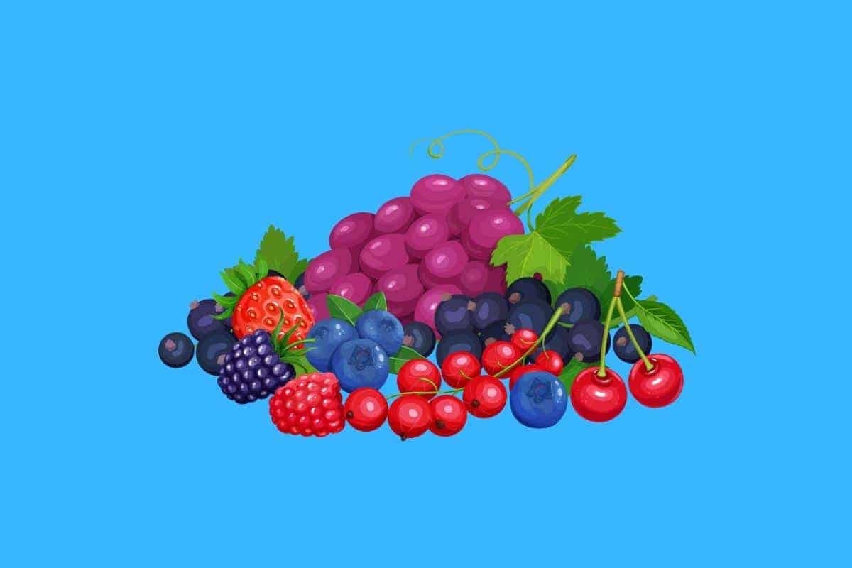 70 Funny Berry Puns - Here's a Joke