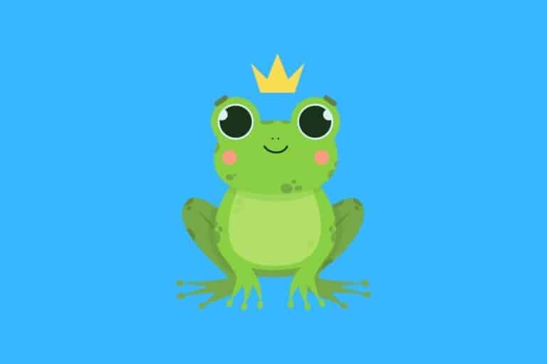 60 Funny Frog Puns - Here's a Joke