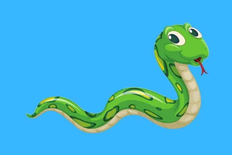 70 Jokes About Snakes - Here's a Joke