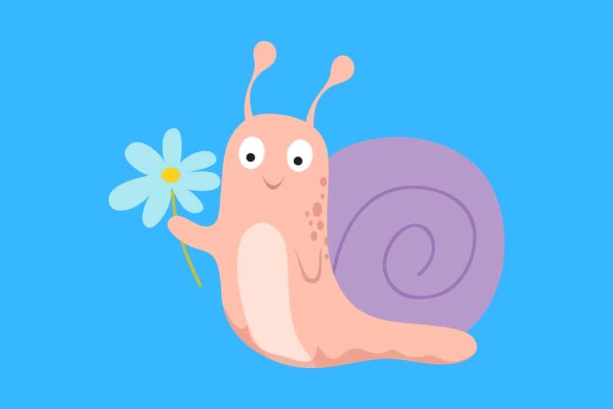 45 Funny Snail Jokes - Here's a Joke