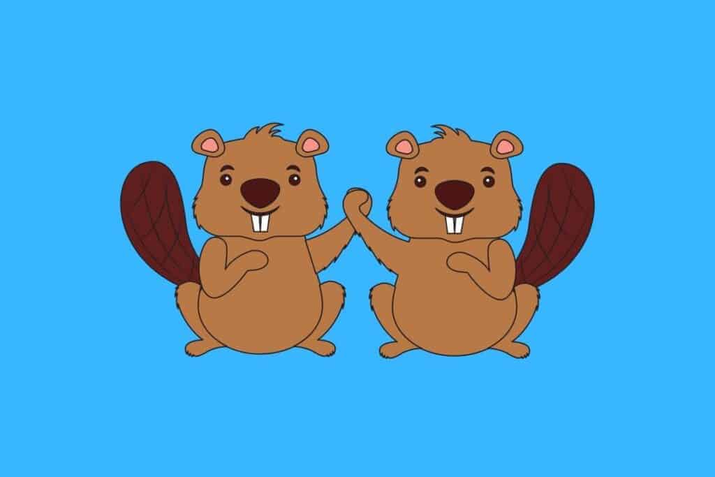 50 Funny Beaver Jokes - Here's a Joke