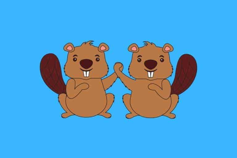 50 Funny Beaver Jokes - Here's a Joke