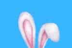 90 Jokes About Ears - Here's a Joke