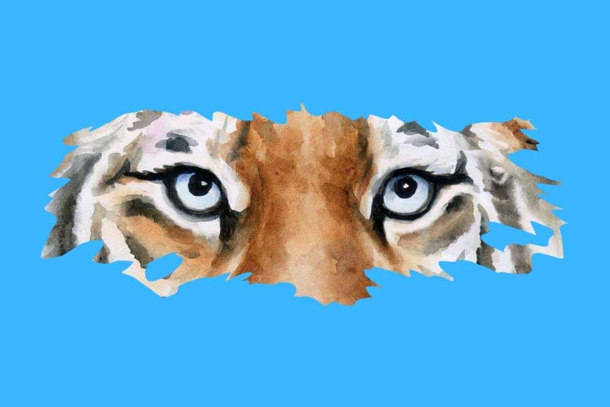 75 Funny Eye Puns - Here's a Joke