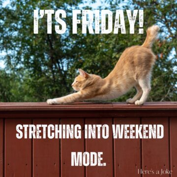 75 Funny Friday Jokes (and memes) - Here's a Joke