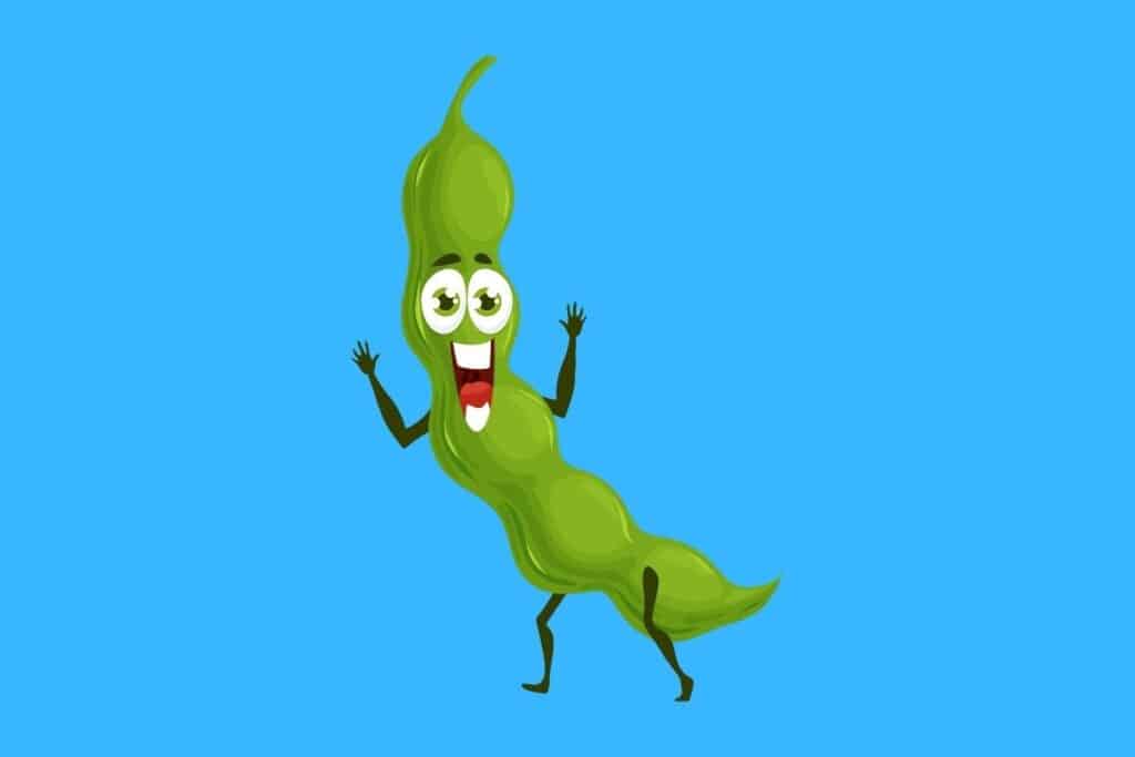60 Funny Bean Puns - Here's a Joke