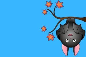 46 Funny Bat Puns - Here's a Joke