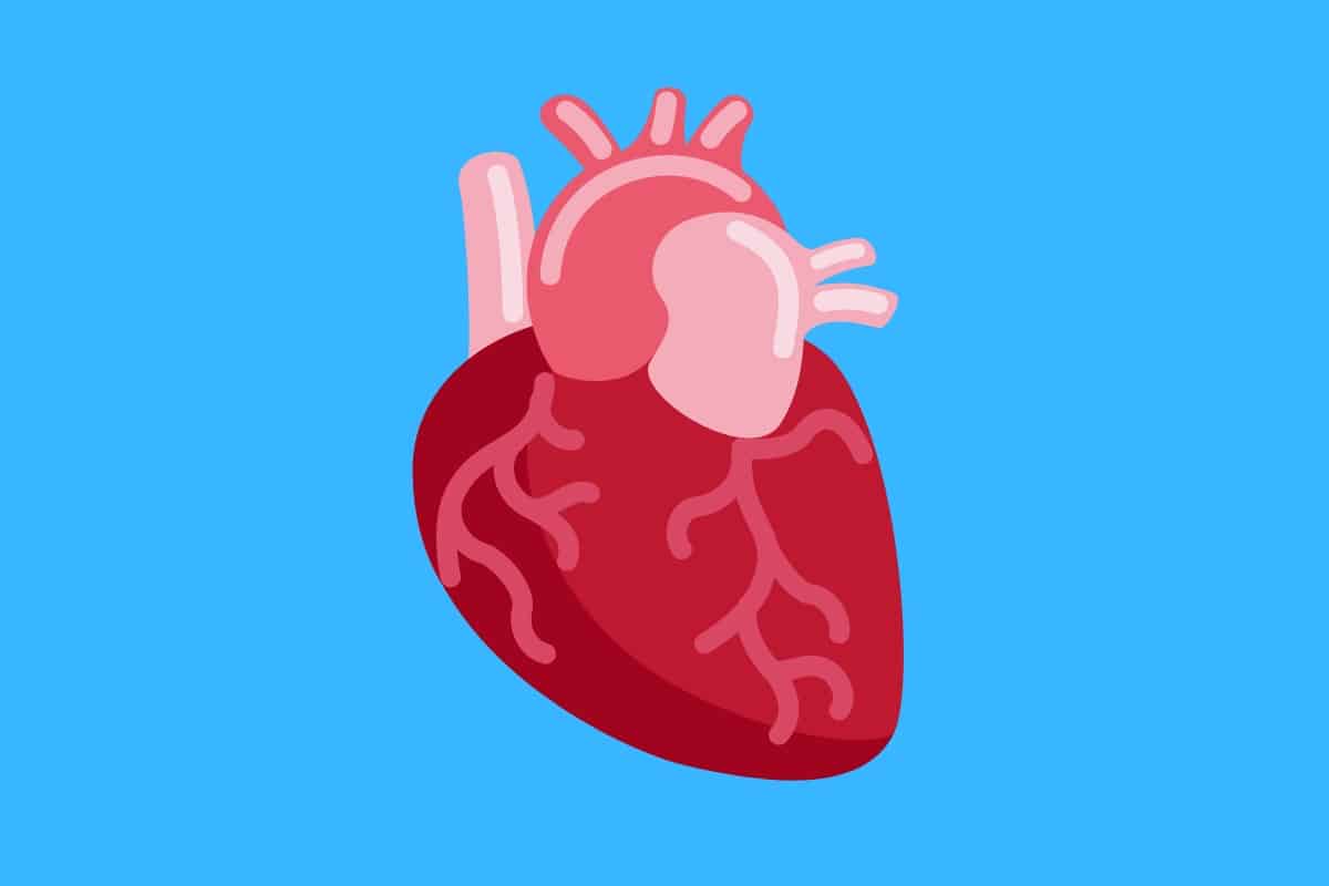 95 Jokes About Hearts - Here's a Joke