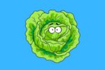80 Funny Lettuce Jokes - Here's a Joke