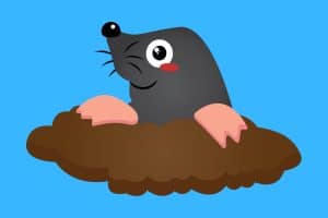 70 Funny Mole Puns - Here's a Joke