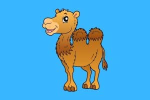30 Funny Camel Jokes - Here's a Joke