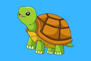 55 Funny Turtle Puns - Here's a Joke