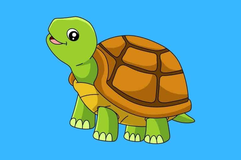 55 Funny Turtle Puns - Here's a Joke