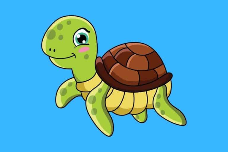 55 Funny Turtle Puns - Here's a Joke