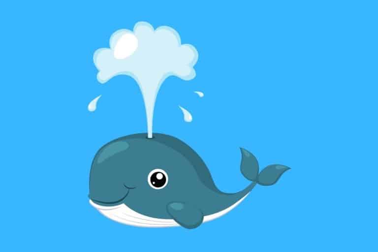 90 Funny Whale Jokes - Here's a Joke