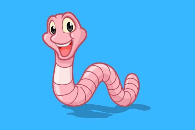 60 Jokes About Worms - Here's a Joke