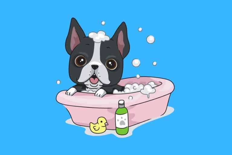 35 Funny Bath Puns Heres A Joke