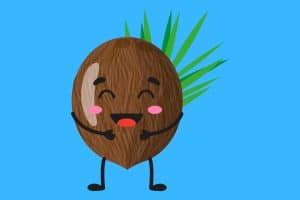 25 Funny Coconut Puns - Here's a Joke