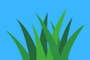 30 Funny Grass Puns - Here's a Joke
