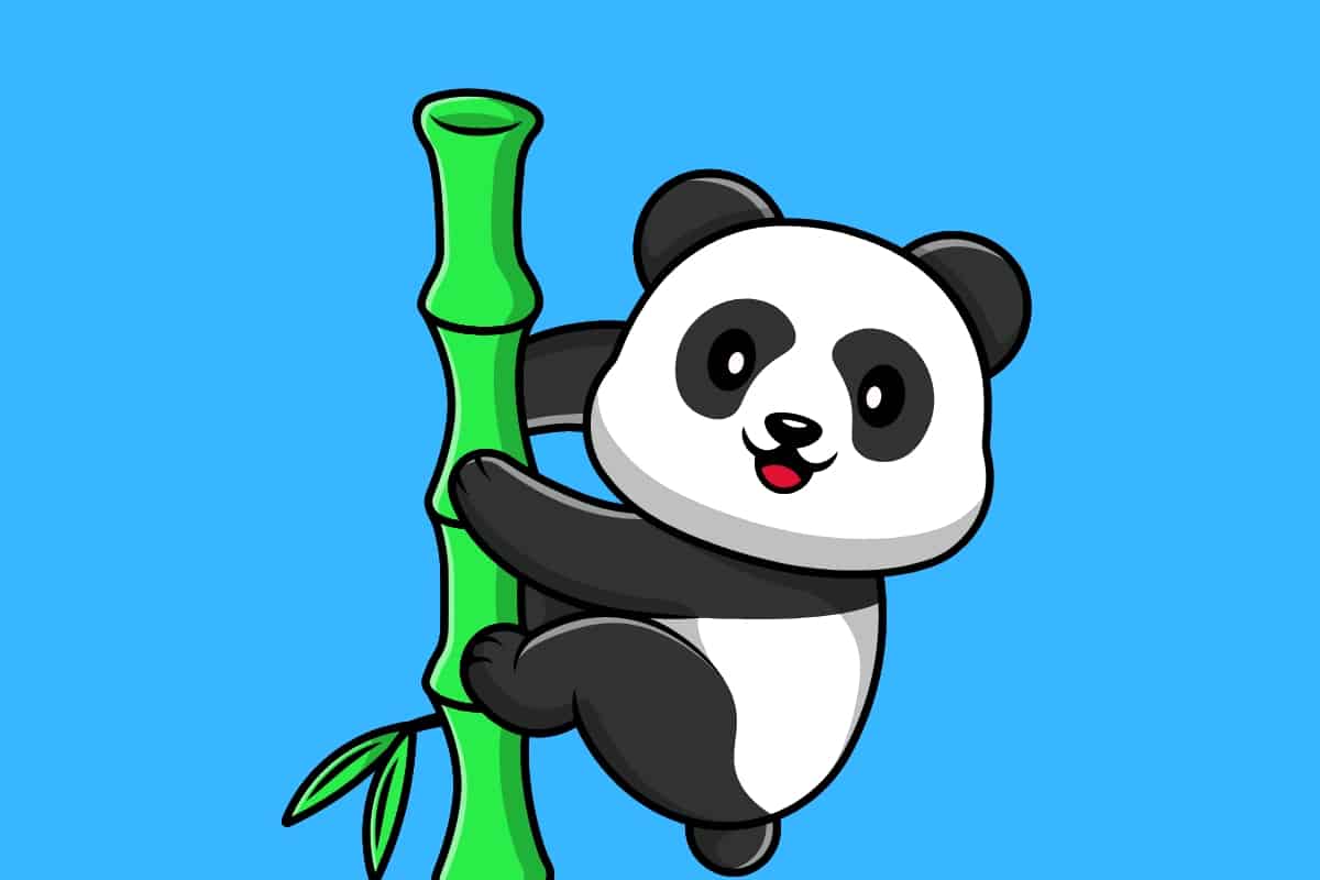 20 Funny Bamboo Puns - Here's a Joke