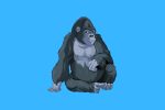35 Funny Gorilla Jokes - Here's a Joke
