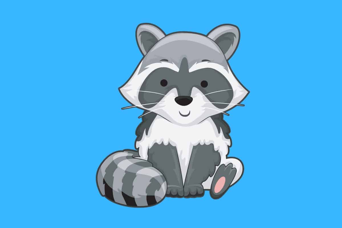 15 Best Raccoon Puns - Here's a Joke