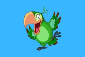 30 Funny Parrot Jokes - Here's a Joke