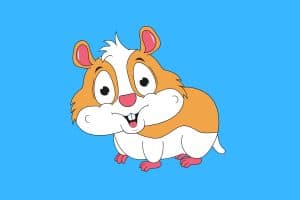 40 Funny Hamster Jokes - Here's a Joke
