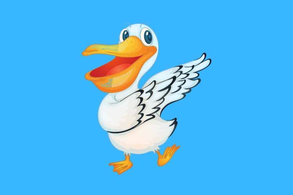 13 Funny Pelican Jokes - Here's a Joke