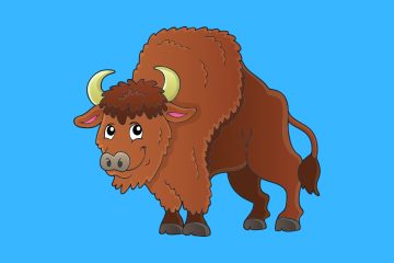 20 Funny Bison Jokes - Here's a Joke