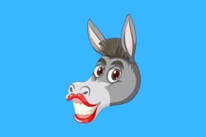 40 Funny Donkey Jokes - Here's a Joke