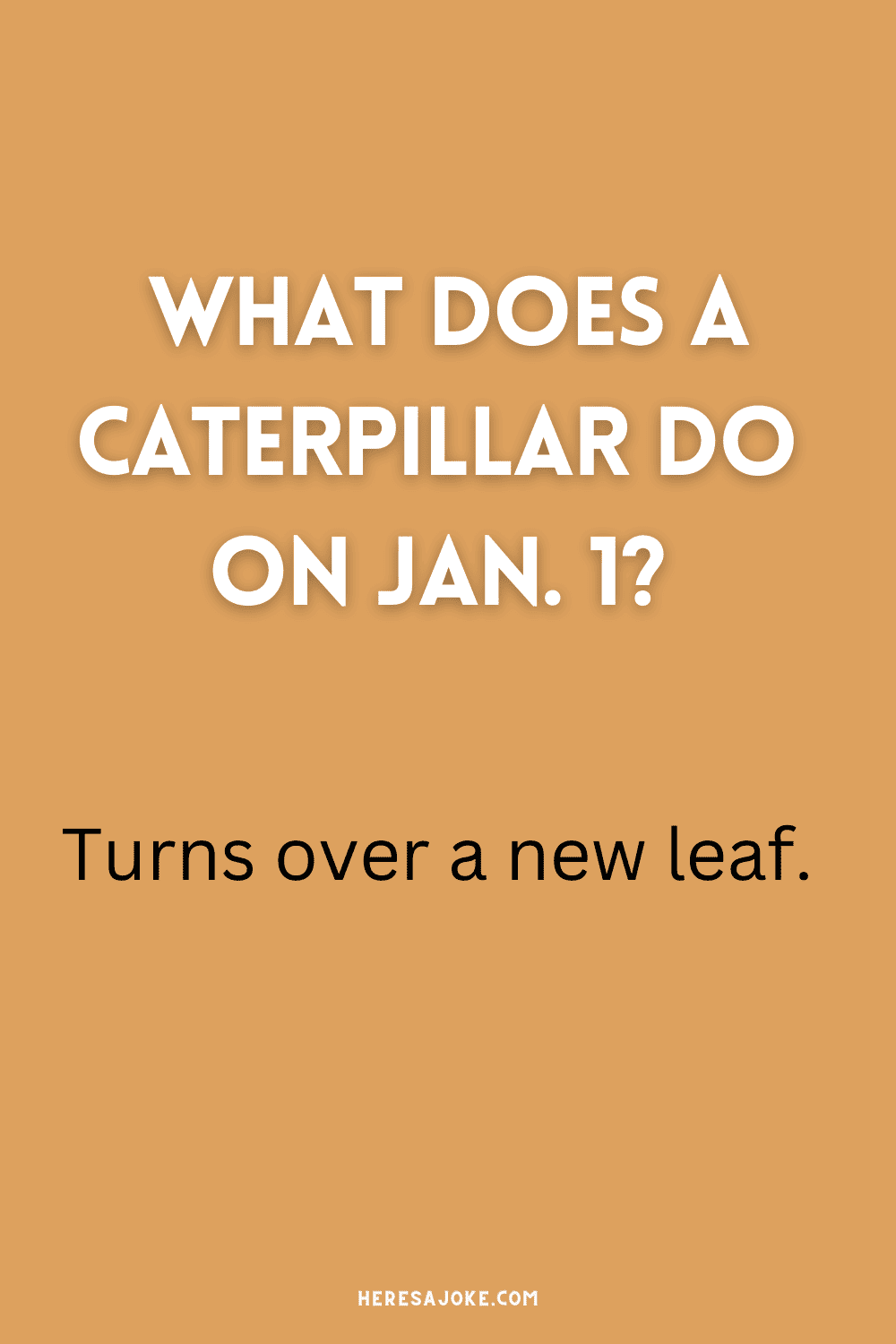 40 Funny Jokes You Need For New Years! - Here's a Joke