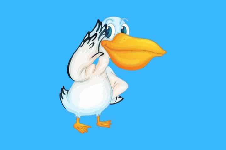 13 Funny Pelican Jokes - Here's a Joke