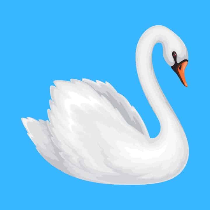 20 Funny Swan Puns - Here's a Joke