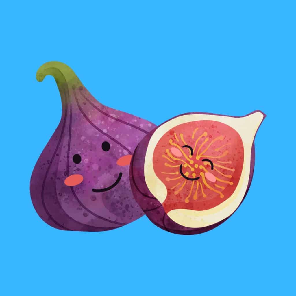 10 Funny Fig Puns - Here's a Joke