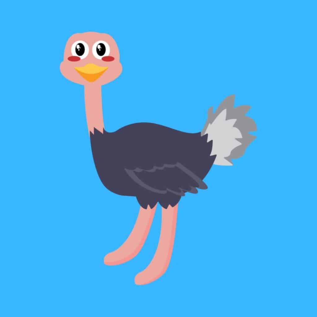 25 Funny Ostrich Jokes - Here's a Joke