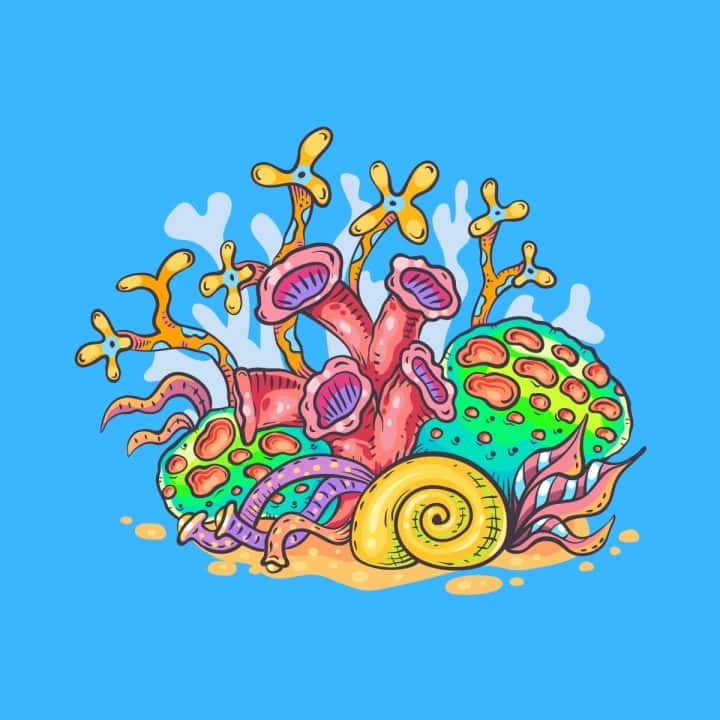 20 Funny Coral Puns - Here's a Joke