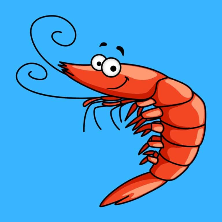 18 Shrimp Puns To Krill You With Laughter - Here's a Joke
